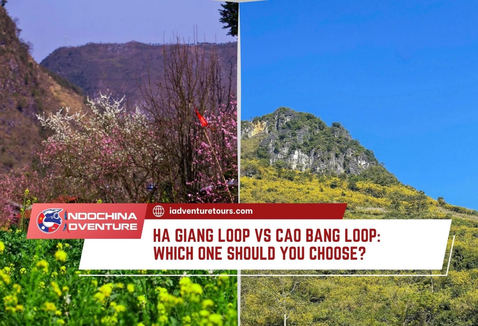 Ha Giang Loop Vs Cao Bang Loop: Which Should You Choose?
